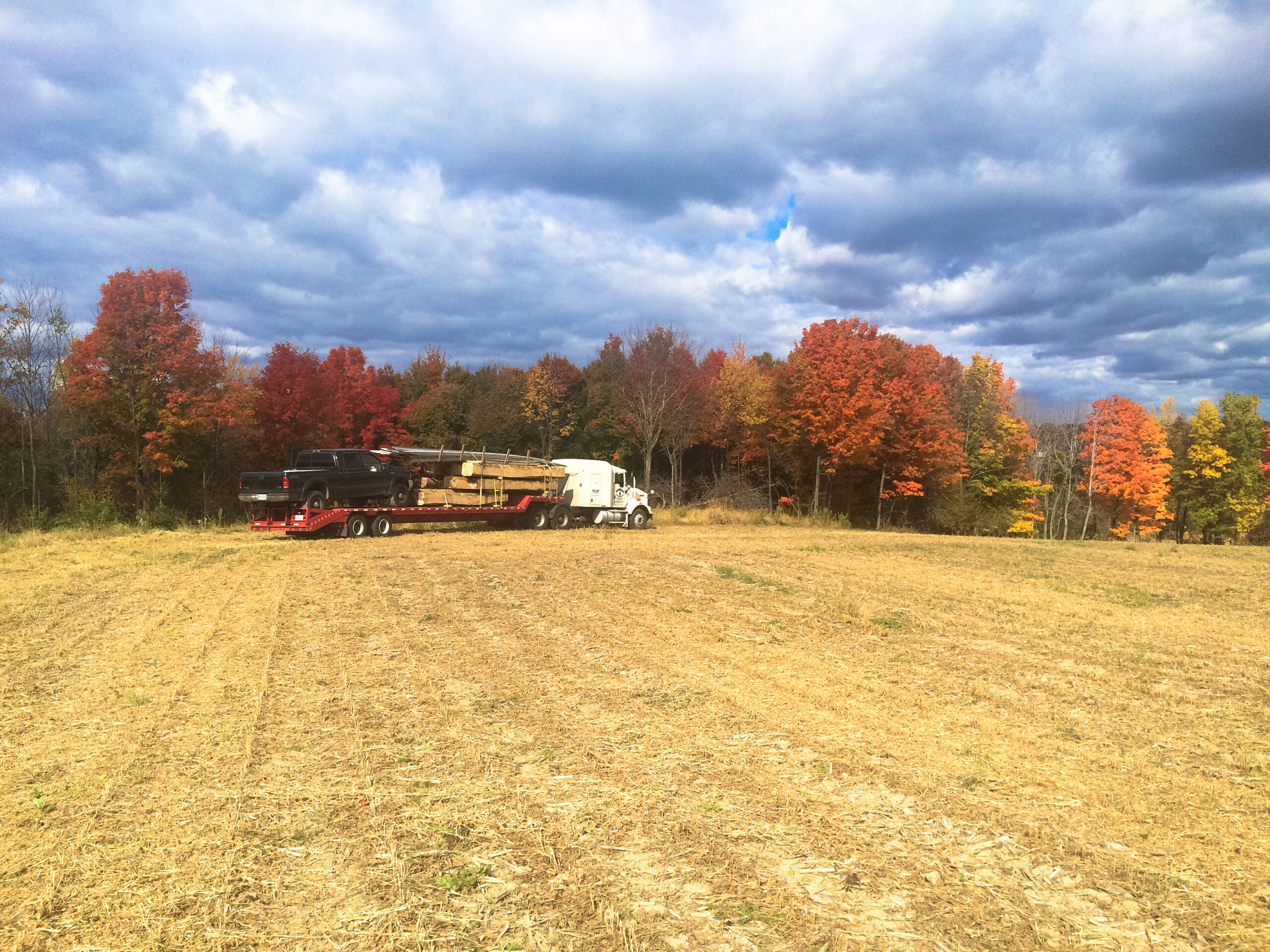 The Land | We Live in a Barn